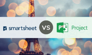 Microsoft Project vs. Smartsheet vs. Teamhood: Which is better ...